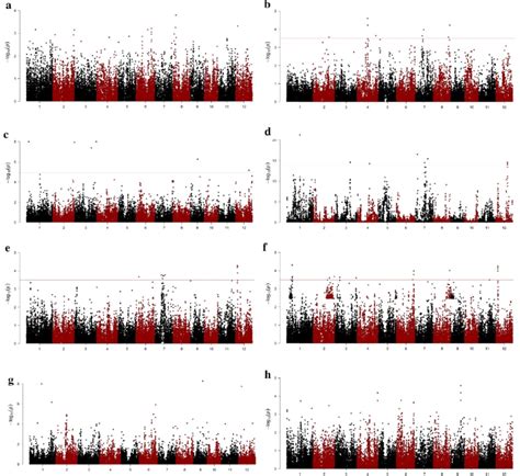 manhattan plots of germination data from gwas using the mlm model