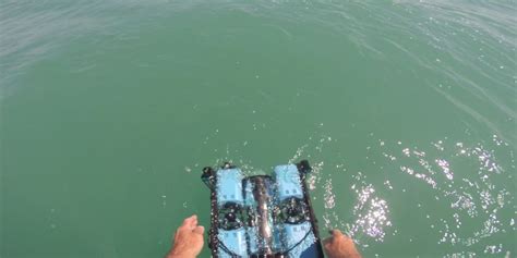 Catching Sea Cucumbers On Camera Helps Vital Research