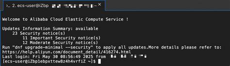 Use Workbench To Connect To A Linux Instance Over Ssh Elastic Compute Service Alibaba Cloud