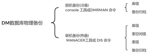 【达梦数据库dm8】备份与还原实践（物理备份、逻辑备份） 花村游戏店老板的博客 csdn博客
