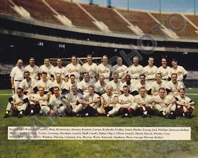 1954 Baltimore Orioles 8x10 Team Photo First Season In Baltimore Ebay