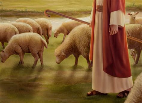 ¿quieres Seguir Al Buen Pastor Revista Vive