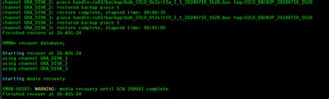 Upgrading Oracle A Smooth Transition From 2010 To 2024 Datavail