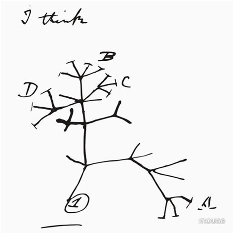 Biol 213 Exam 1 Flashcards Quizlet
