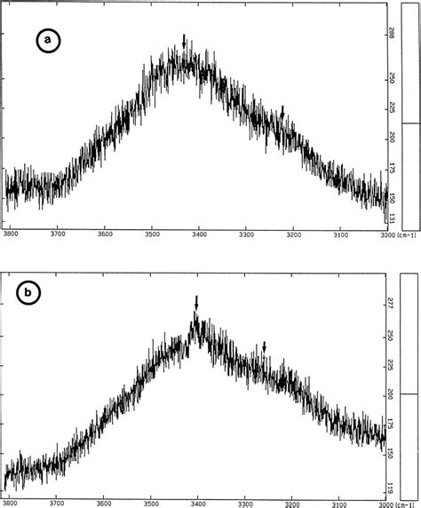 Raman Spectra For Two Different Types Of Fluid Inclusions A Type 1a Download Scientific