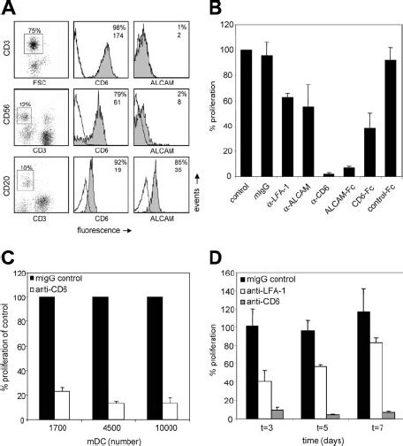 Alcam Cd6 Interactions Are Essential For Dc Induced T Cell Download Scientific Diagram