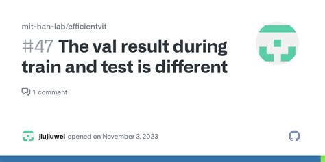 The Val Result During Train And Test Is Different · Issue 47 · Mit Han Lab Efficientvit · Github