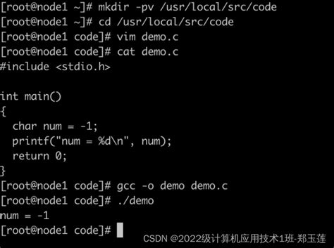 应用软件迁移与适配xc替代 Csdn博客