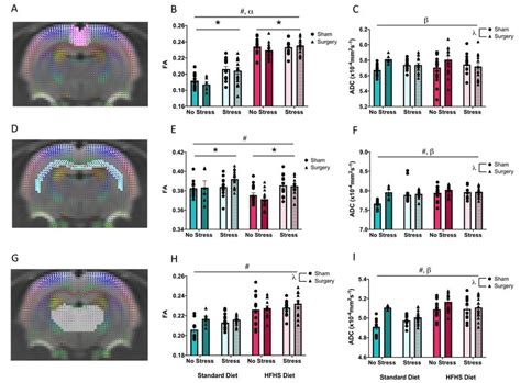 Graphical Representation Of Diffusion Tensor Measures Fractional Download Scientific Diagram