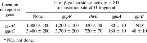 Influence Of Position Of Fragment Insertion On Transcription Of