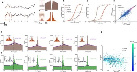 In Real Neuronal Data Deconvolution Based Estimates Of Spike