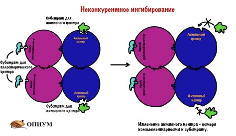 Ферменты: их строение, функции и регуляция. Ингибиторы ферментов - ОПИУМ