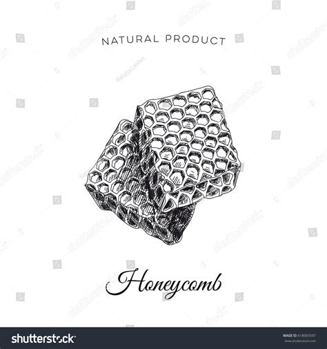 Vector Hand Drawn Honeycomb Illustration Sketch Stock Vector 618065597 Shutterstock