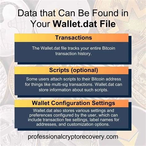 your complete guide to wallet dat security and recovery professional
