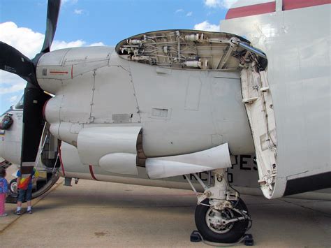 C 2a Greyhound Walk Around Page 1