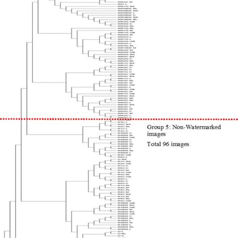 Rectangular Shape Of Phylogenetic Tree 2 For Degraded Non Degraded And Download Scientific