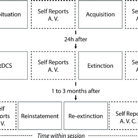Approach Avoidance Task Aat Results A Approach And Avoidance