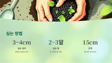 서리태 콩 심는시기 재배방법 수확시기 보관법