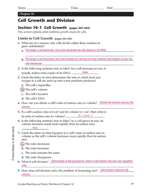 Solved Hw Ch 10 Cell Reproduction Worksheet Fill In The