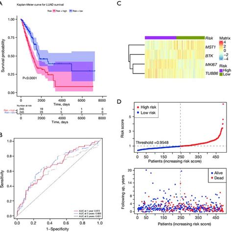 The Gene Signature Based Risk Score Built In The Tcga Luad Dataset A