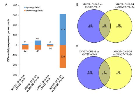 The Differentially Expressed Genes Analysis A The Number Of Degs In