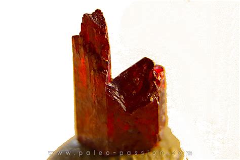 Proustite Bouismas Mine Bou Azzer Morocco