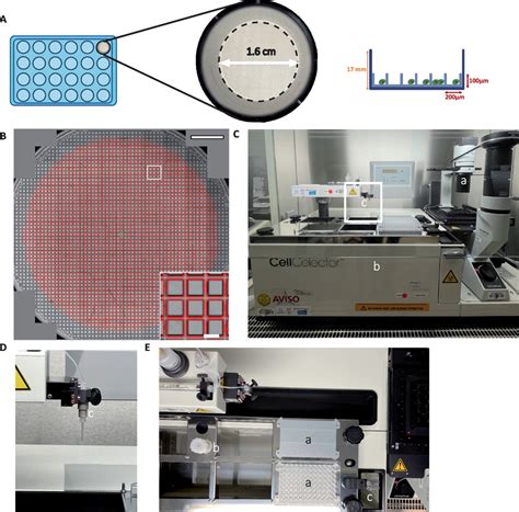 Algorithm Identification Of Square Shaped Nanowells A Illustration Of