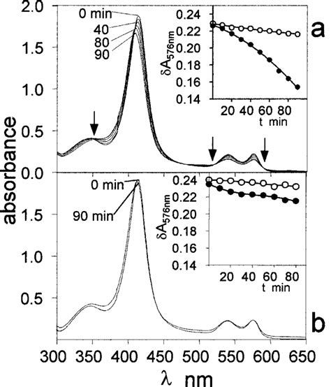 P Gingivalis Cell Mediated Oxidation A And Auto Oxidation B Of