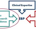EBP Asking Clinical Questions Flashcards Quizlet