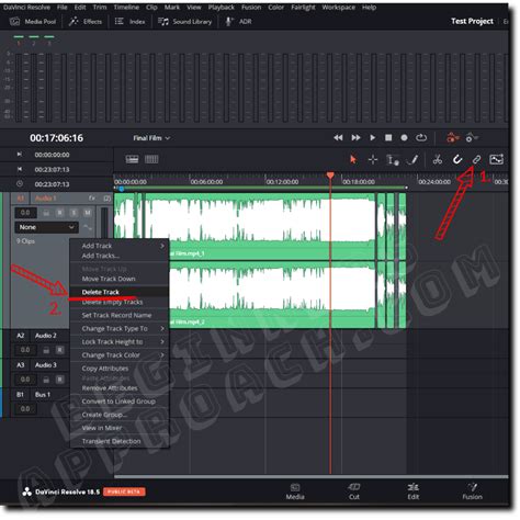 DaVinci Resolve Remove Audio From Video FAST