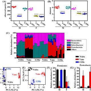 Sex Differences In Antibiotic Effects On The Gut Microbiota At The Download Scientific Diagram