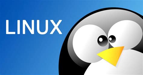 Linux Nedir Nasıl Bir İşletim Sistemidir TechWorm