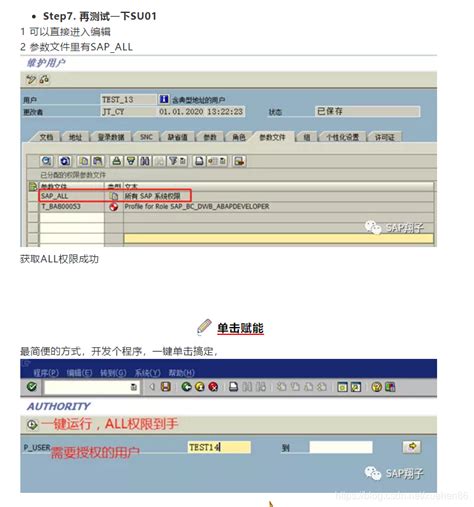 如何获取sap all权限 怎样查找sap all的权限 csdn博客
