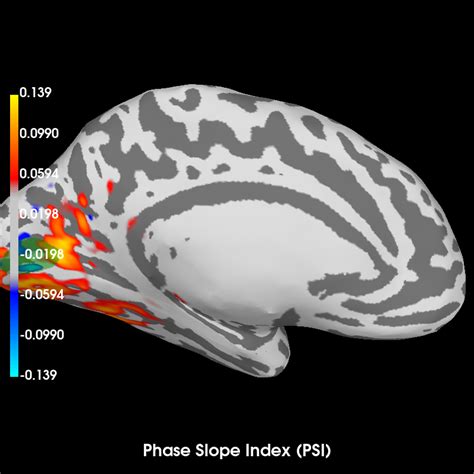 compute phase slope index psi in source space for a visual stimulus