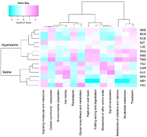 Metagenomic Insights Into Microbial Community Structure Function And