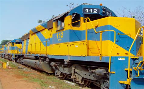 Cbg Guinea Orders Corys Simulators Corys