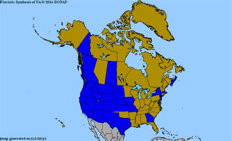 2013 Bonap North American Plant Atlas Taxonmaps