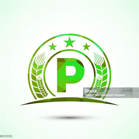 초기 알파벳 P는 밀 보리 또는 호밀과 통합되었습니다 농업 사업 및 회사 정체성을 위한 로고 개념에 대한 스톡 벡터 아트 및