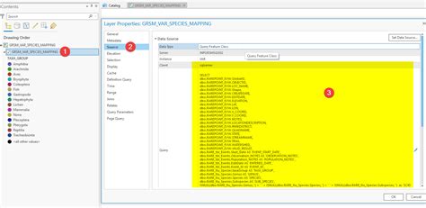 Arcgis Pro Should Allow You To See The Sql Used To Esri Community