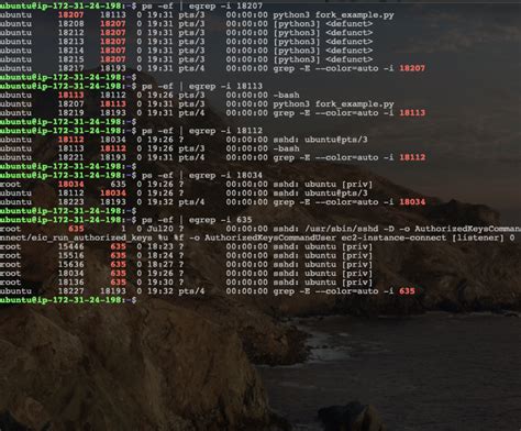 Linux — Process What Happens Under The Hood Life As A Network