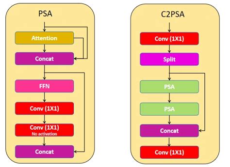 guide on yolov11 model building from scratch using pytorch