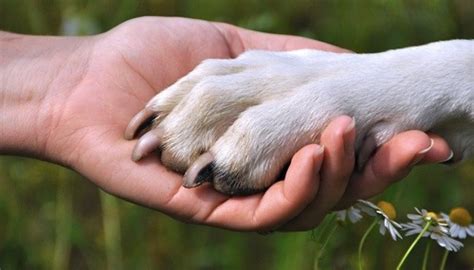 Картки B4 Quizlet