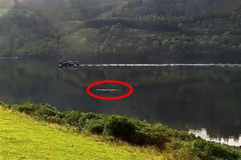 Хванаха чудовището от Лох Нес докато преследва корабче ВИДЕО Галерия Блиц