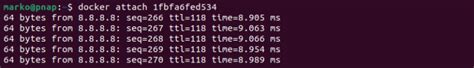 how to exit a docker container {2 simple methods}