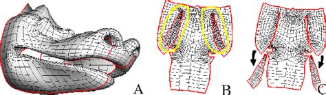 figure 2 from least squares conformal maps for automatic texture atlas