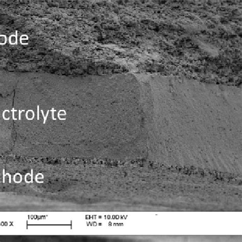 Sem Micrograph Cross Section View Of The Co Pressed Fuel Cell