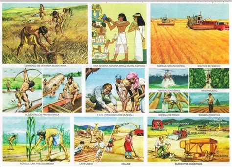 La Agricultura Y Su Historia Decoración De Videojuegos Monografias