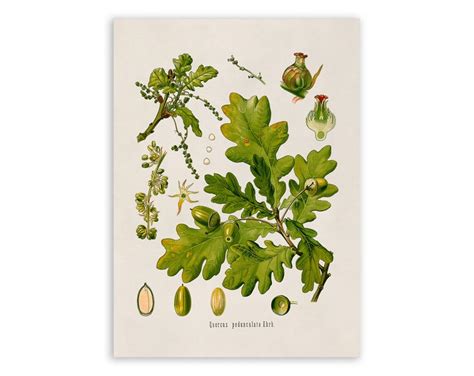 Erotic Art African American Art Bedroom Decor Abstract Nude Art