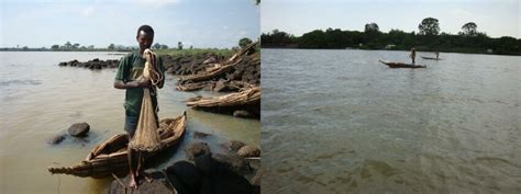 Fishing With 4 5 Cm Stretched Mesh Size Cast Net At Shore Sides Of L Tana Download Scientific