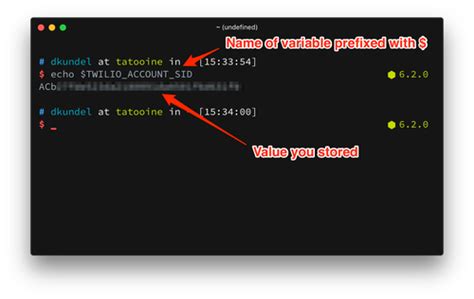 How To Set Environmental Variables Twilio